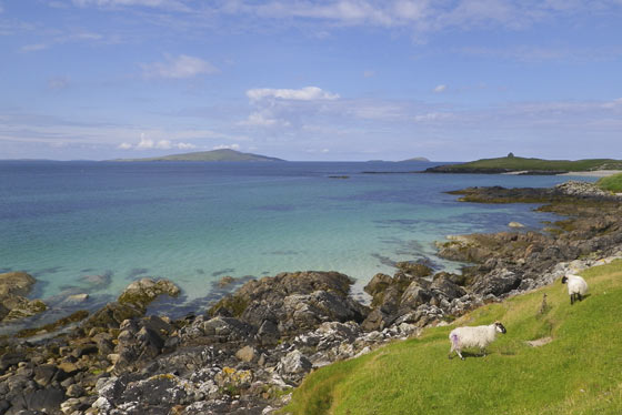 Top 30 fascinating facts from the Scottish Hebrides: Wilderness Scotland