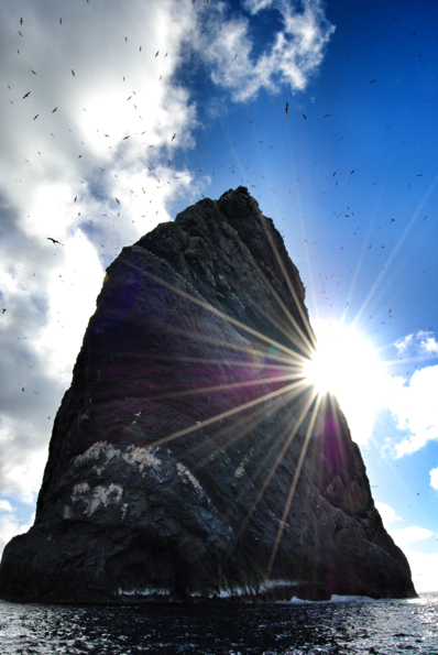 Learn About Beautiful St Kilda : Wilderness Scotland