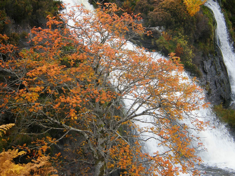 Autumn Walking Holiday: Highlands of Scotland - Wilderness Scotland