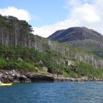 Kayaking in Scotland - Beginner Adventure - Wilderness Scotland