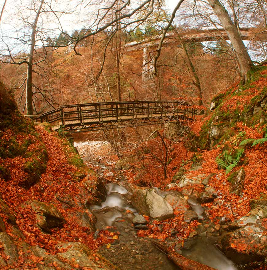 Top 5 Walks in Highland Perthshire you 'MUST' Explore - Wilderness Scotland