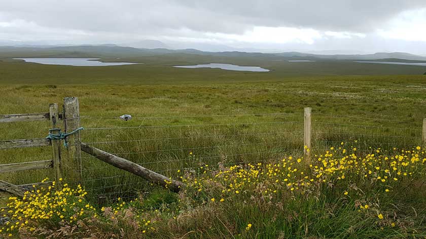 Explore the Outer Hebrides: A Journey in Pictures - Wilderness Scotland