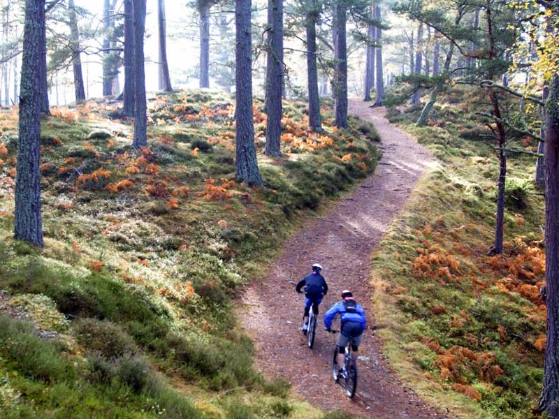Mountain Biking in the Cairngorms: 'Our Top 7 Favourite Routes ...