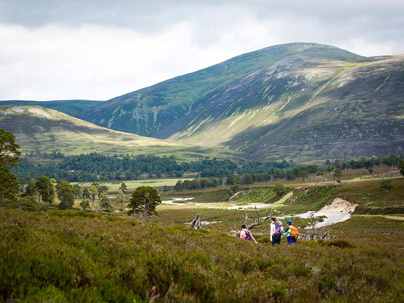 The Best Munros in the Cairngorms - Wilderness Scotland