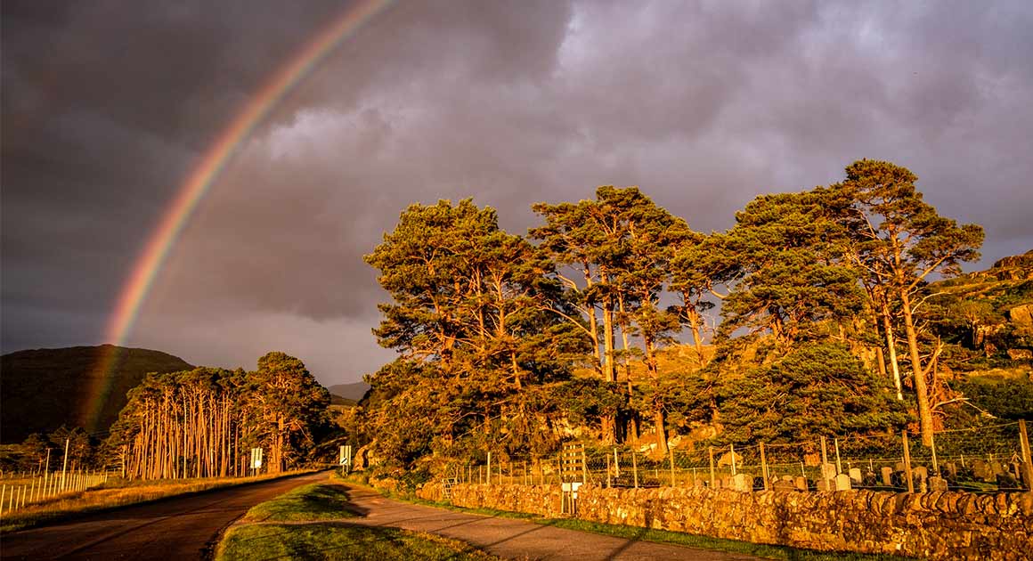 Why Visit Scotland in August? - Wilderness Scotland