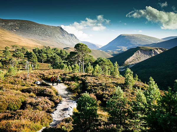 Why Visit Scotland in August? - Wilderness Scotland