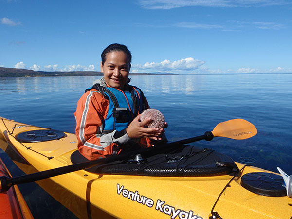 Beginner’s Sea Kayaking Trip - Guided Sea Kayaking Holidays