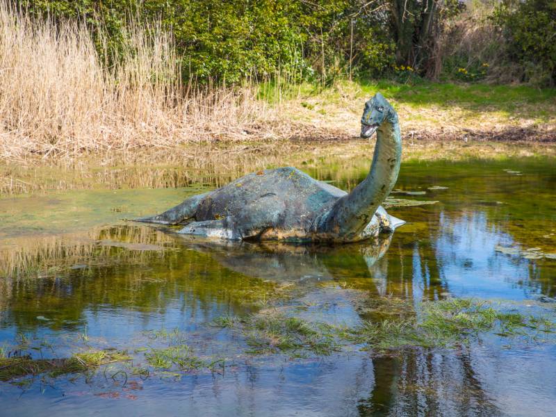 Loch Ness & Nessie - Wilderness Scotland