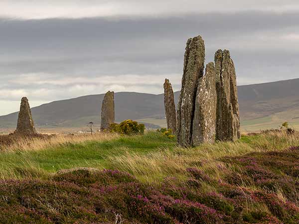 The Orkney Islands: Your Travel Guide - Wilderness Scotland