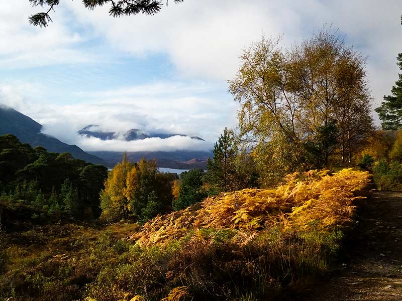 Why Visit Scotland in November? - Wilderness Scotland