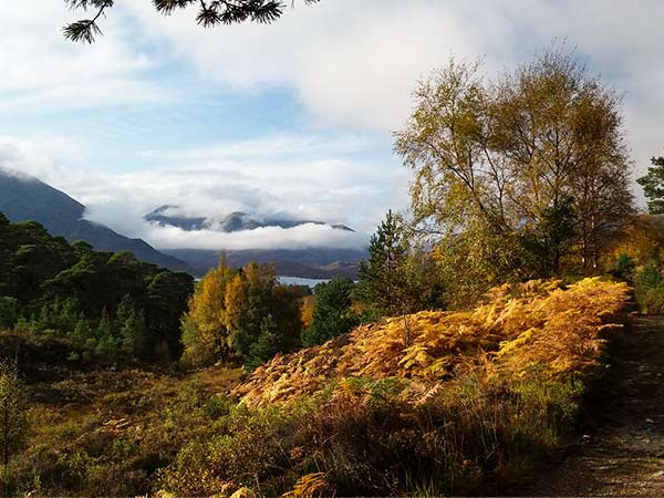 Why Visit Scotland in November? - Wilderness Scotland