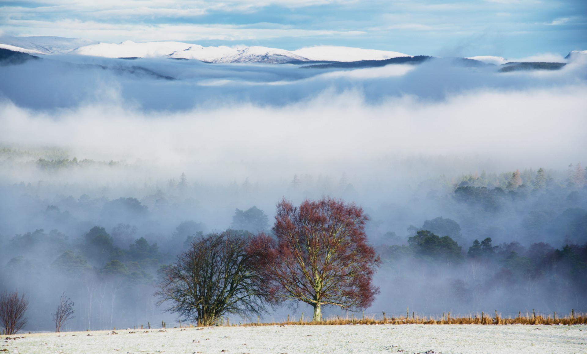 What are cloud inversions and why are they so beautiful?