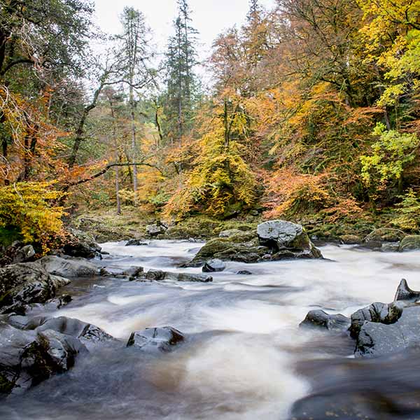 The Best Things To Do In Perthshire - Wilderness Scotland