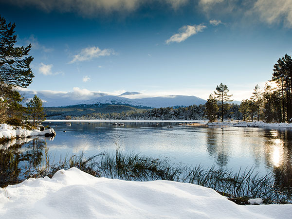 Why Visit Scotland in February? - Wilderness Scotland