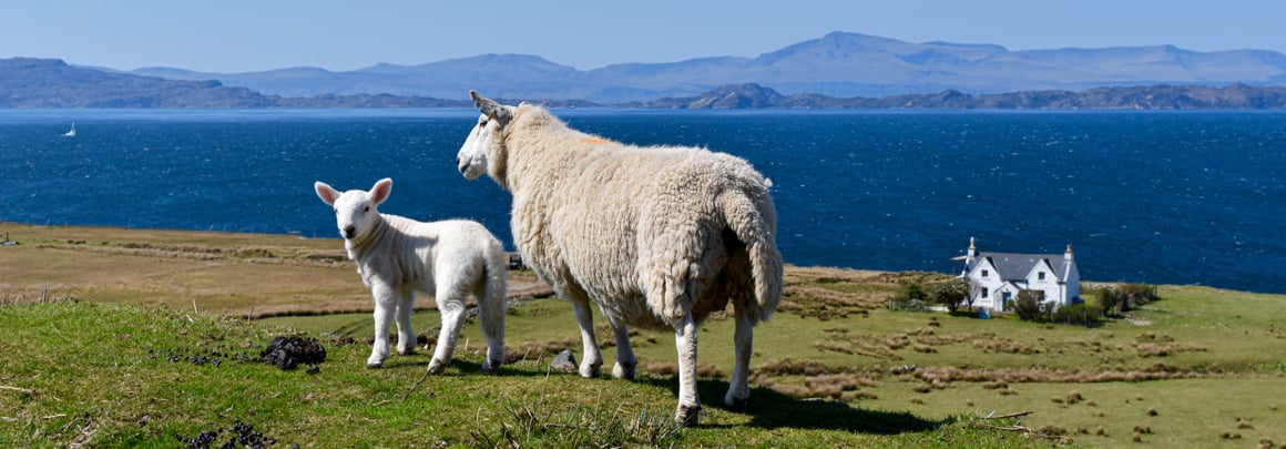 Why Visit Scotland in April? - Wilderness Scotland