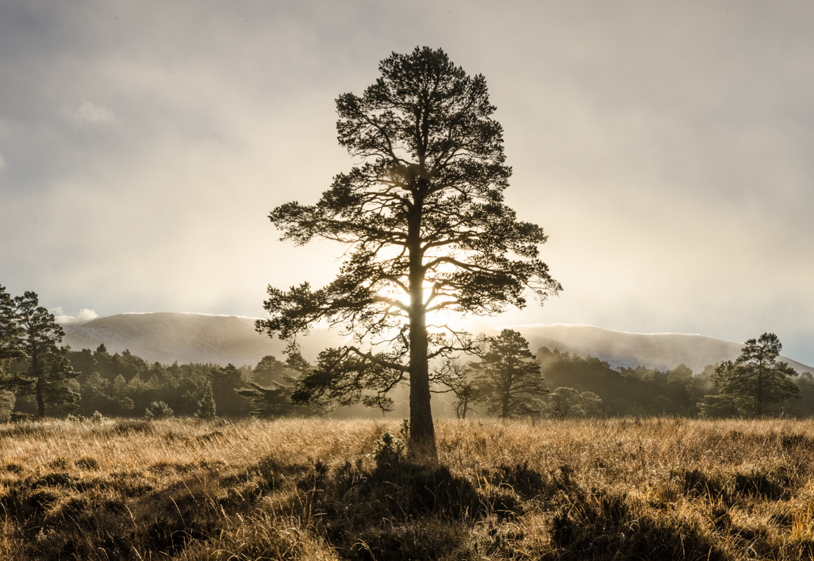 Why Visit Scotland in April? - Wilderness Scotland