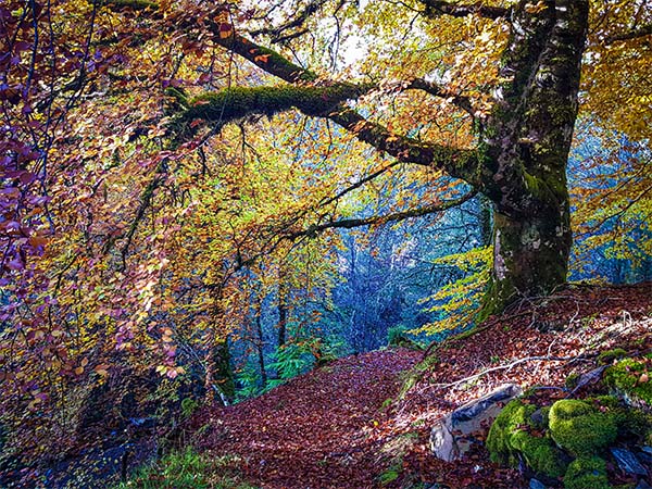 Why Visit Scotland in October? - Wilderness Scotland