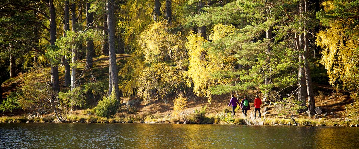 Why Visit Scotland in October? - Wilderness Scotland