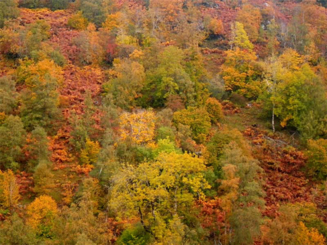 Adventure Holidays: Experience Autumn in Scotland