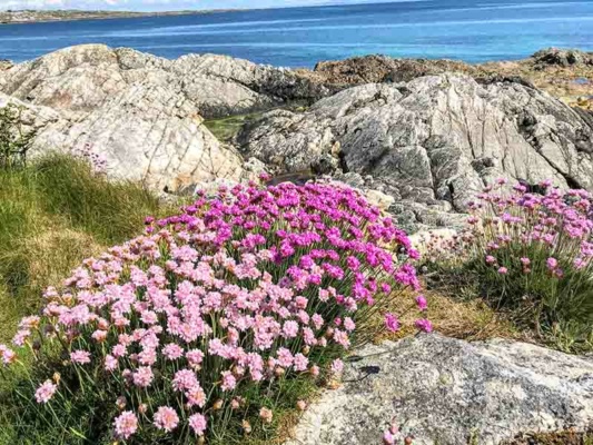 Is May a Good Month to Visit Scotland? | Wilderness Scotland