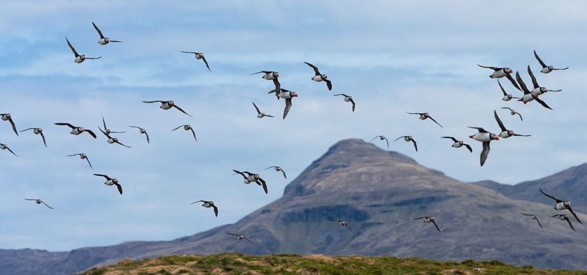 Colin Prior's Top 10 Photography Locations in Scotland - Wilderness ...