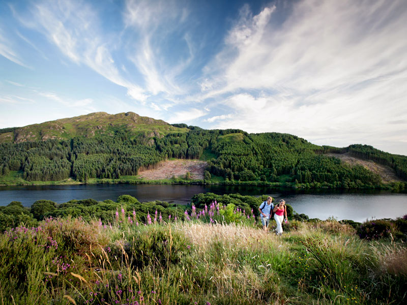Highlights of Galloway - An Overview for Outdoor Lovers