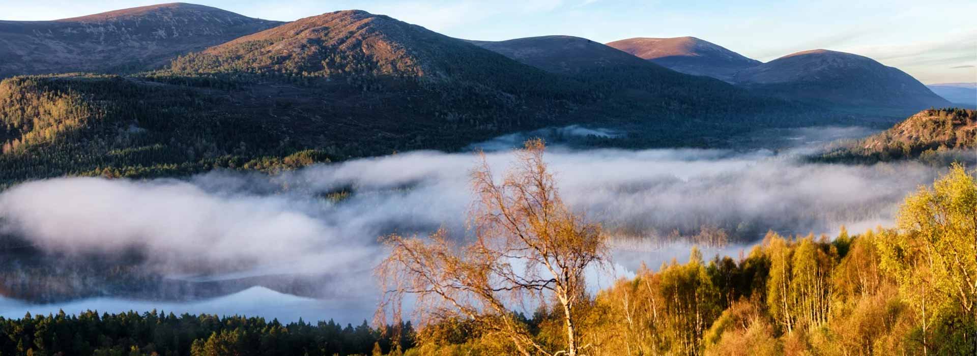 What are cloud inversions and why are they so beautiful?