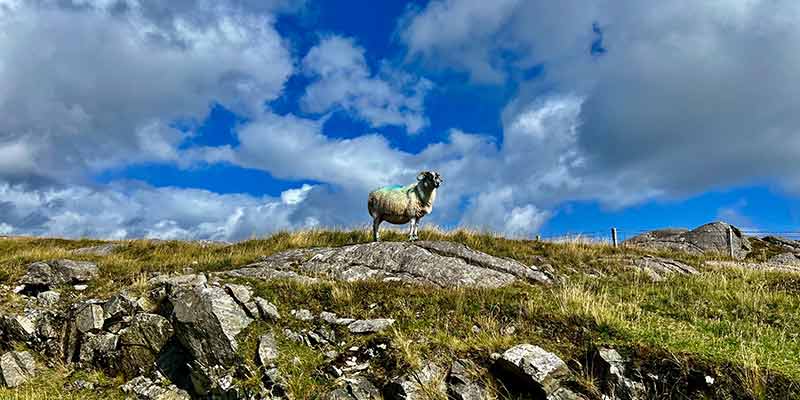The Geology of the Outer Hebrides - Wilderness Scotland