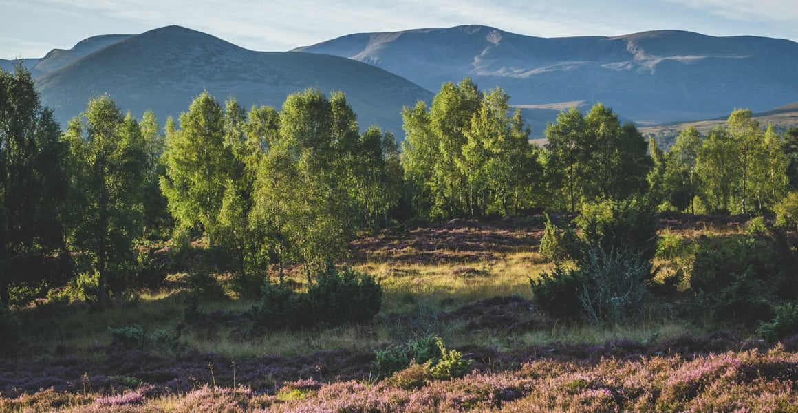 Outlander Locations in the Highlands - Wilderness Scotland