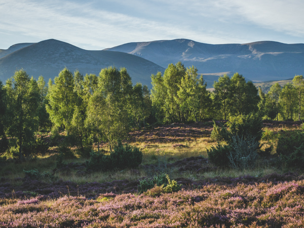 New Trips - Wilderness Scotland