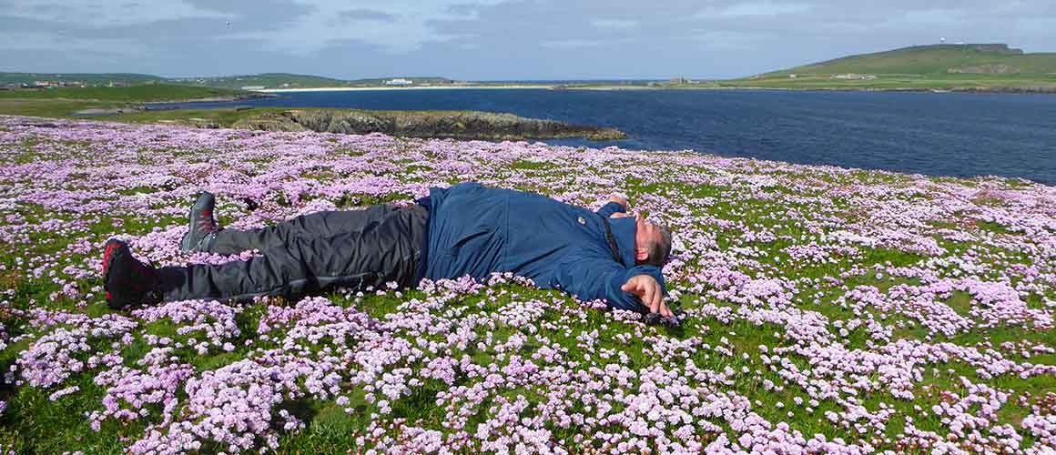 Why Visit Scotland in June? | Wilderness Scotland