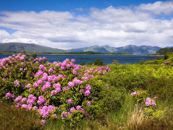 Experience Spring in Scotland - Wilderness Scotland