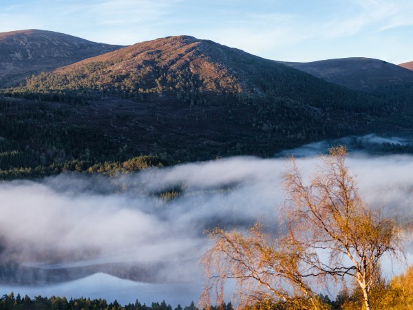 What are cloud inversions and why are they so beautiful?