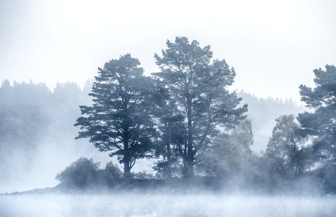 What are cloud inversions and why are they so beautiful?