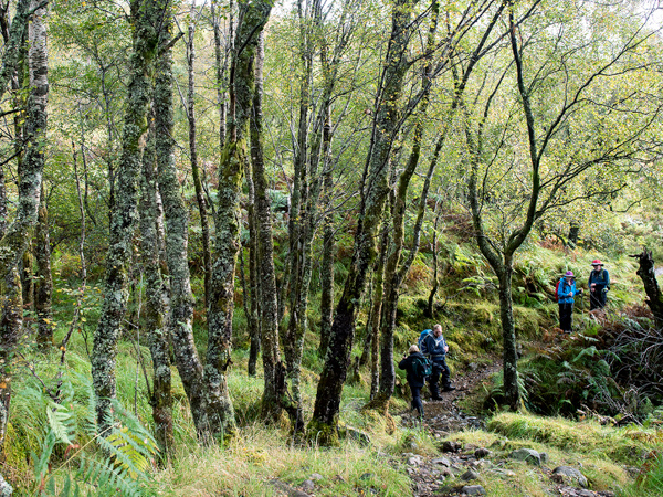 Facts About Ticks And Lyme Disease Wilderness Scotland 5775