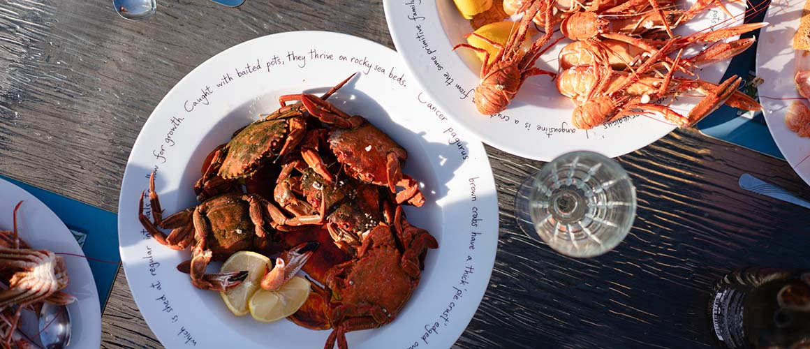 Why Visit Scotland in June? | Wilderness Scotland